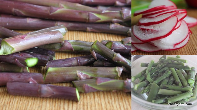 November | 2014 | The Cheergerm & the Silly Yak