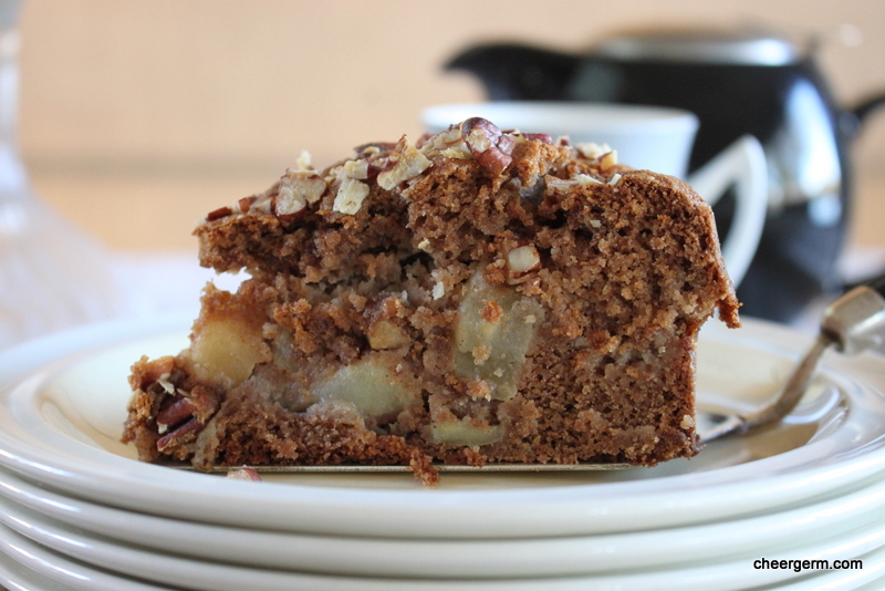 Spiced chestnut flour apple cake, gf | The Cheergerm & the Silly Yak