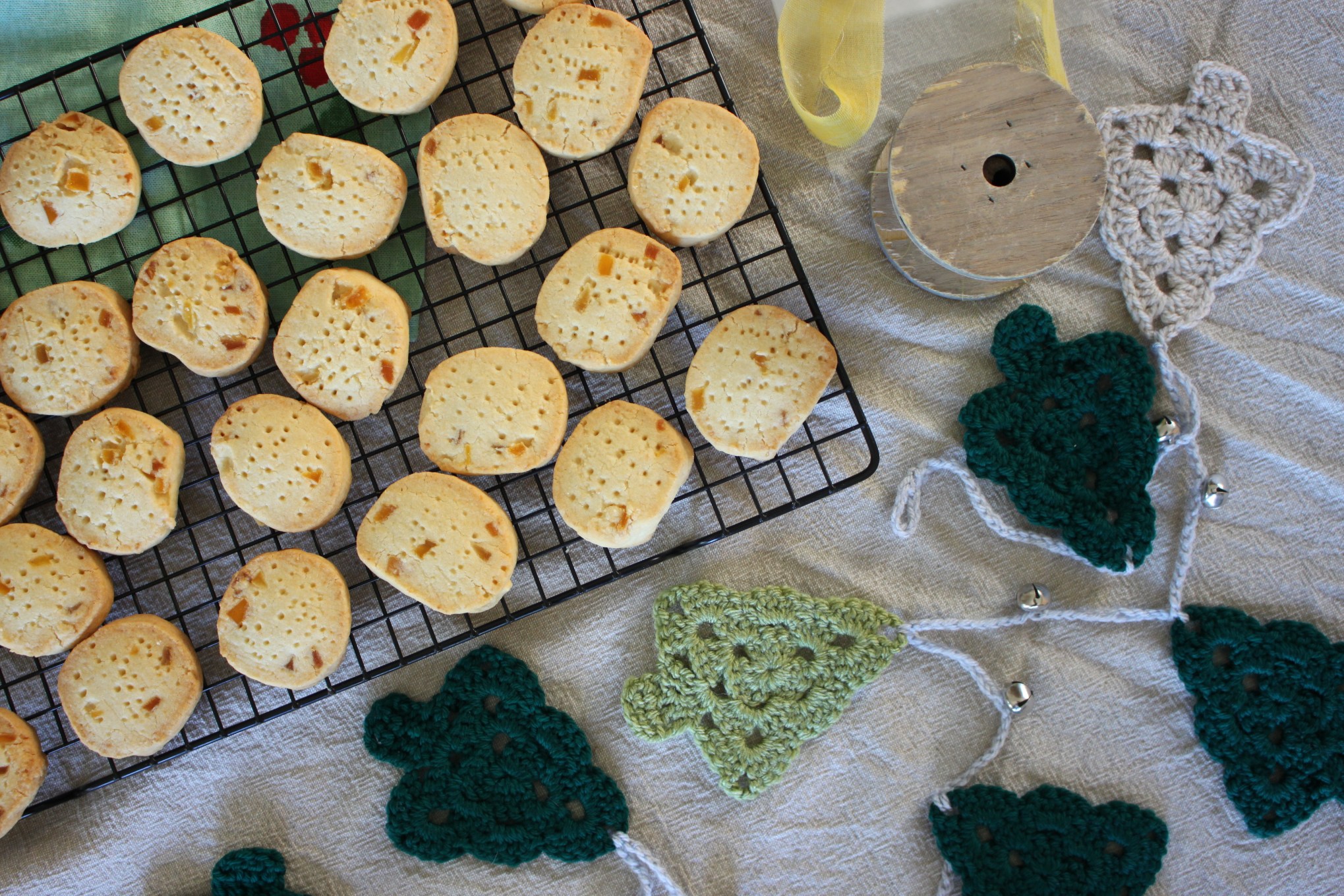 The Cheergerm & the Silly Yak | The life and times of a cheergerm